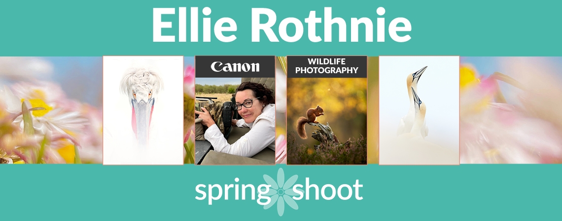 Ellie Rothnie - Castle Cameras